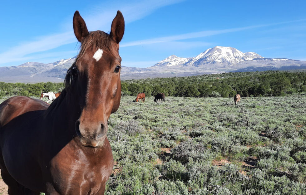 Activities - Wolf Springs Cabin Rentals